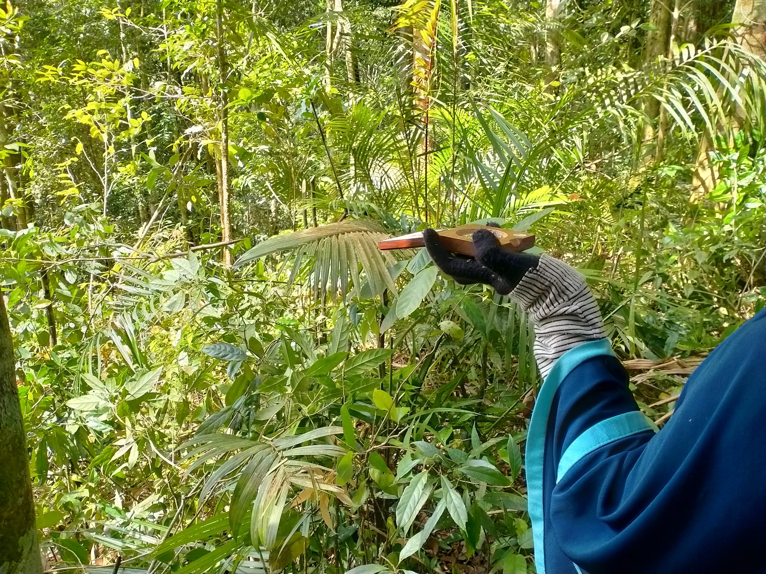 Rizki Ramadhan 2 Sintas Indonesia