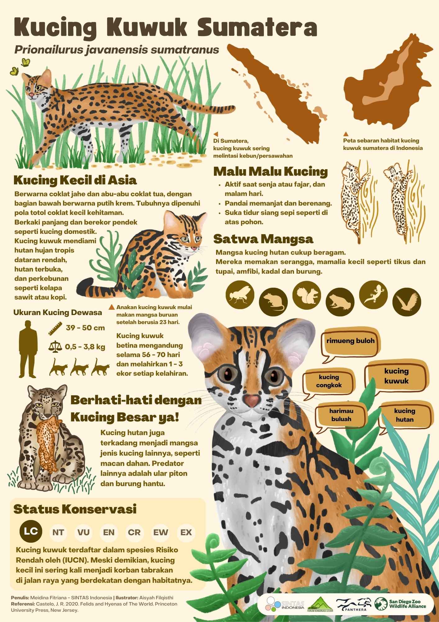 Education Materials – SINTAS Indonesia